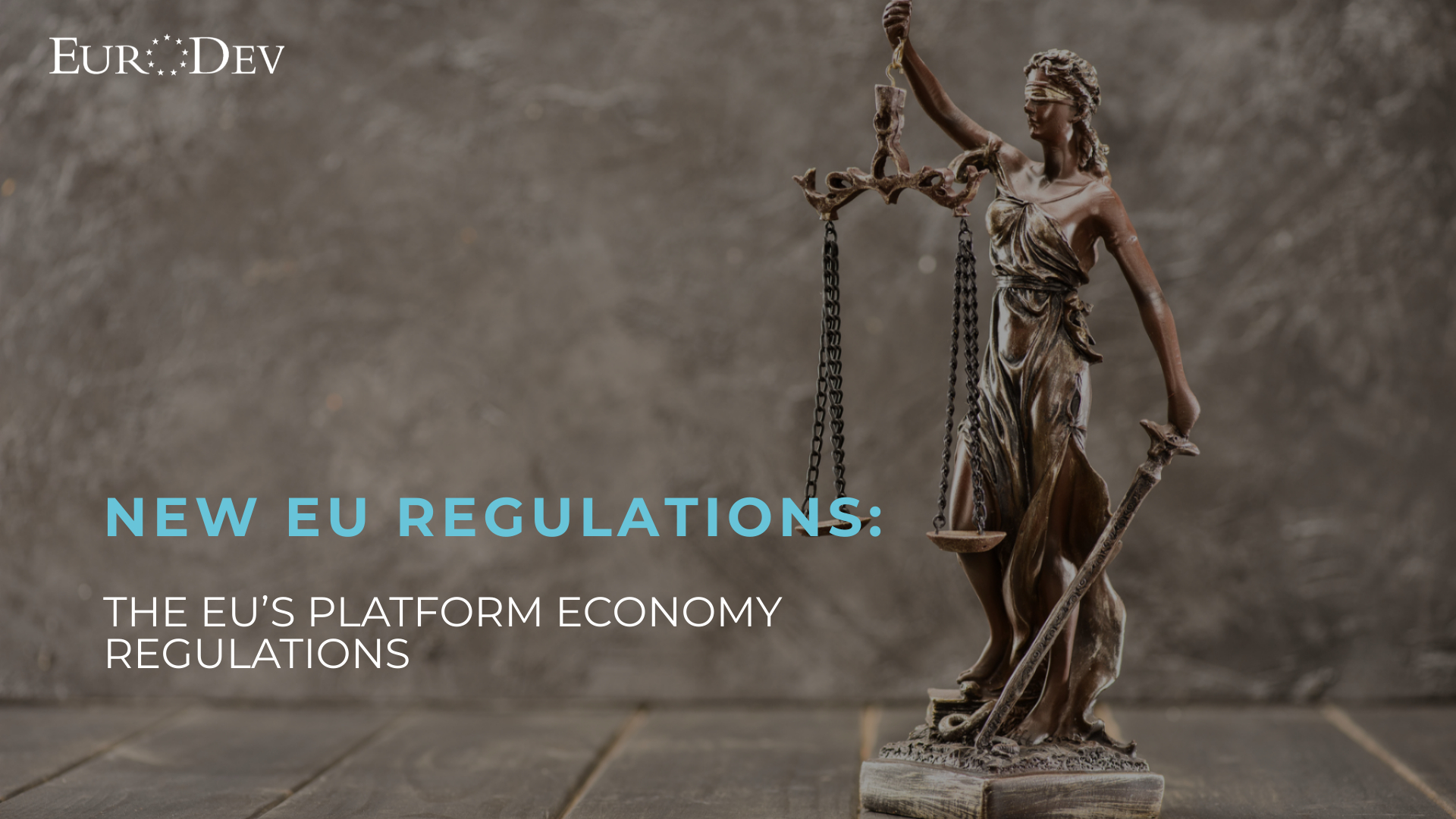 New EU Regulations: The EU’s Platform Economy Regulations
